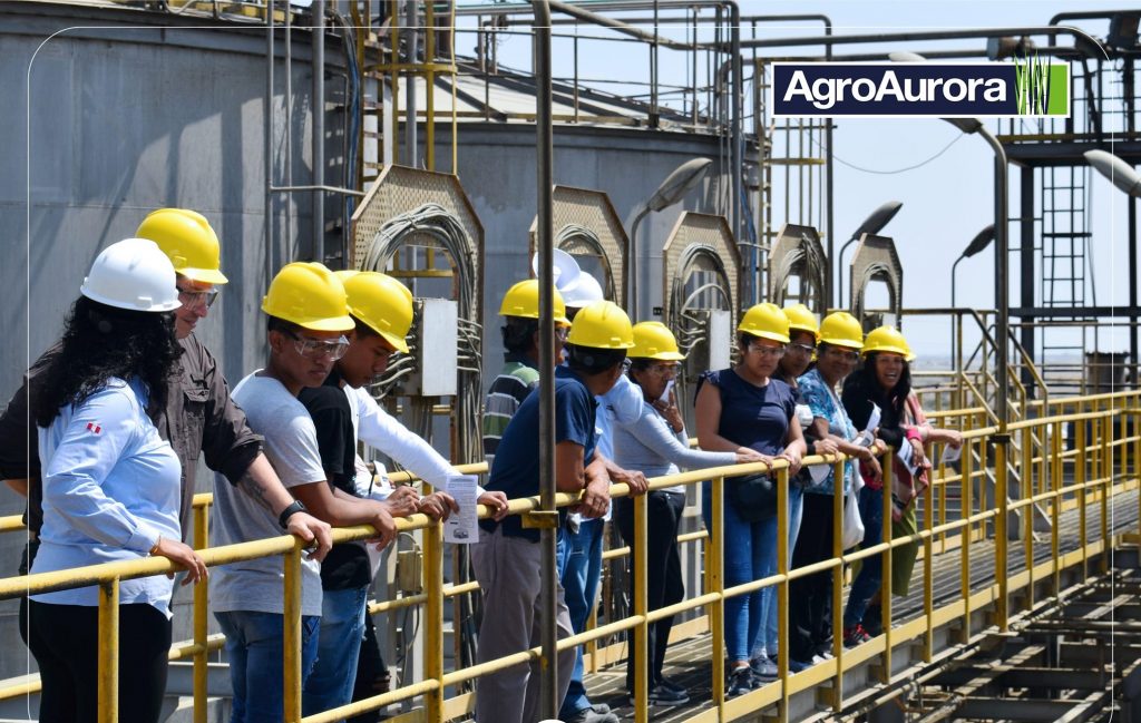 Agroaurora asegura que está operando porque "cultiva la materia prima ...