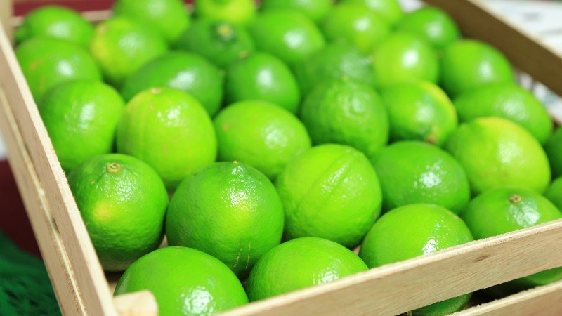 Limón Tahití va camino a ser una de las estrellas de la agroexportación