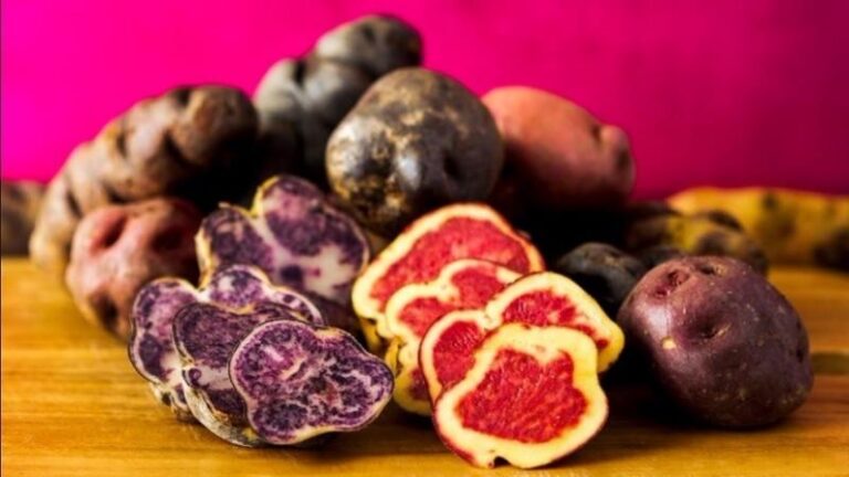 Inka Chips: Un snack de papas nativas que busca revalidar la producción ...