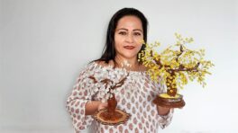 Capulí: Conoce la artesanía de los árboles emblemáticos de Tumbes ...