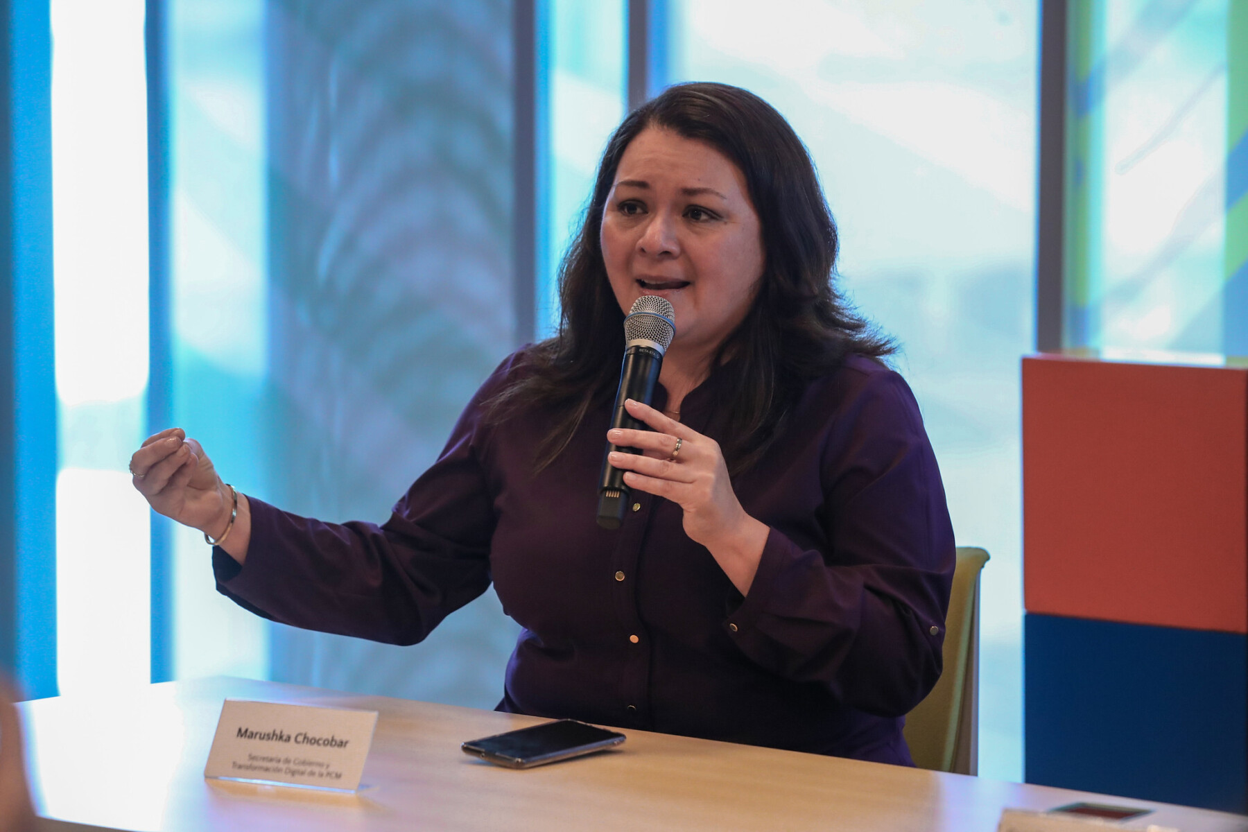 Marushka Chocobar: "En lo digital el Perú tiene un buen avance de ...