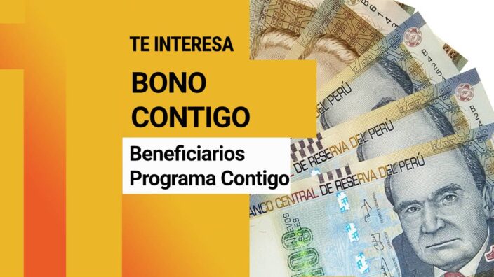 ¿Tienes hijos con alguna discapacidad? LINK para postular al Bono ...