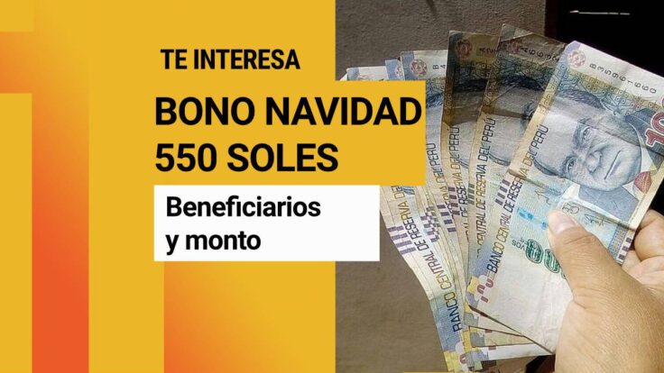 Bono Navidad de 550 soles Sector Público: LINK para consultar con DNI ...