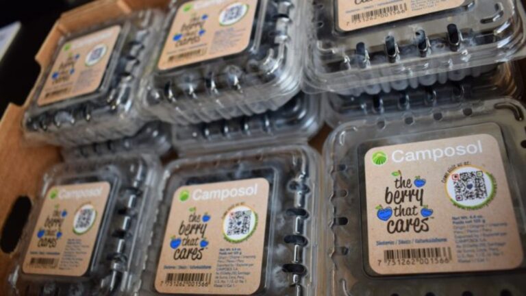 Camposol fue la agroexportadora con mayor participación en 2022