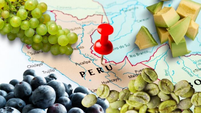Perú: Estas son las empresas que más agroexportaron en 2022