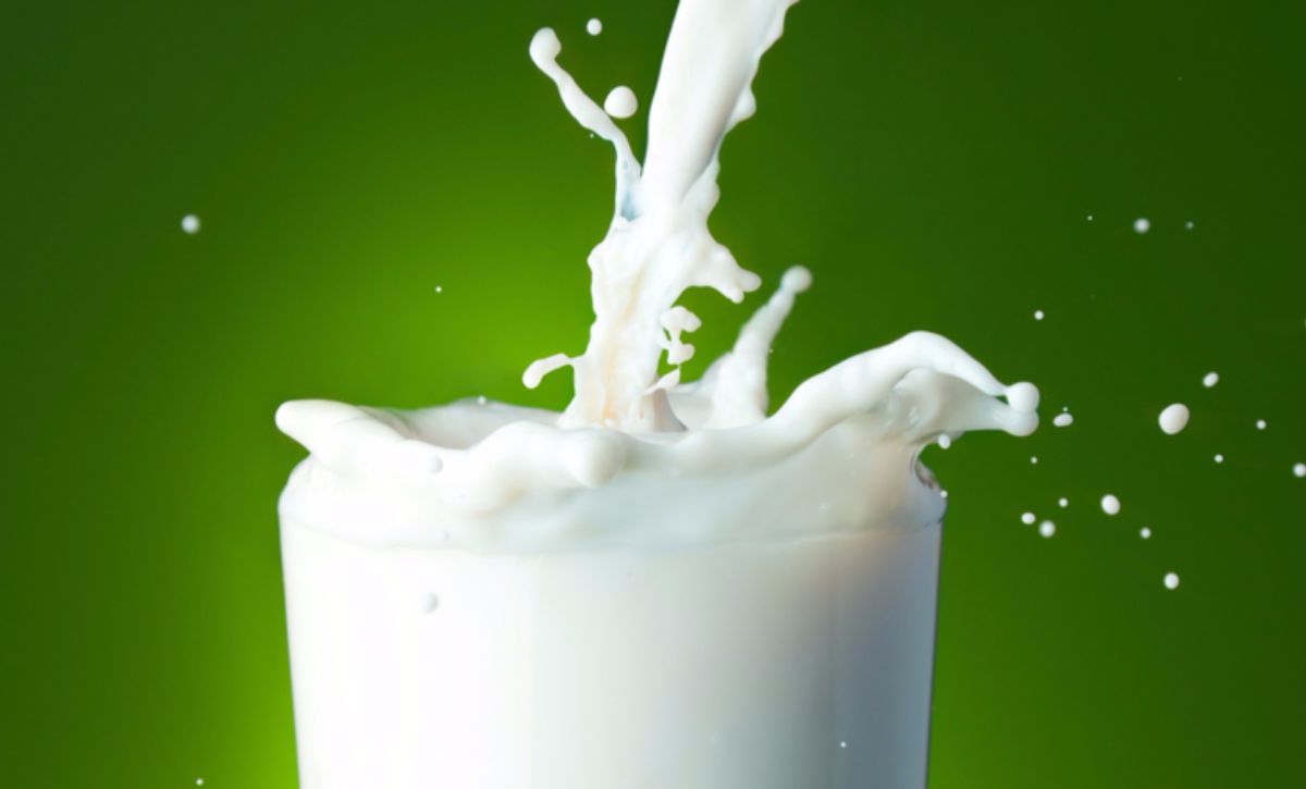 ¿Cuál es la leche envasada más natural del Perú?