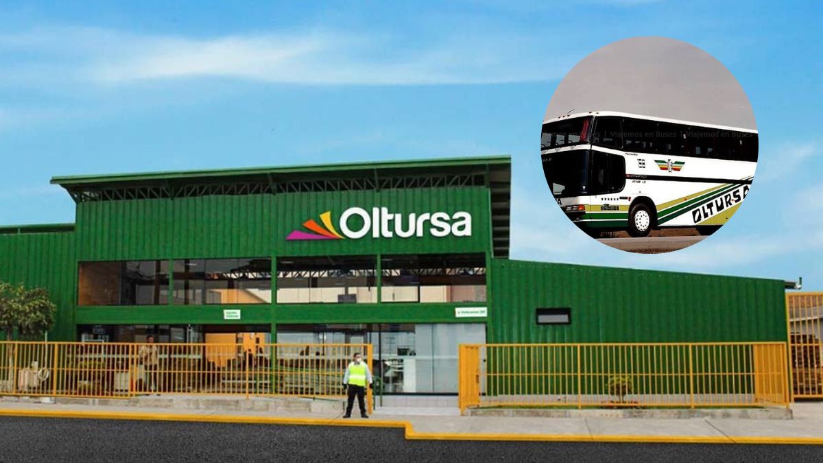 Oltursa: ¿Cómo redefinó el estándar de viajar en el Perú?