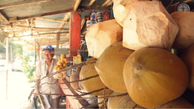 Pipa de coco: ¿Por qué aumentó seis veces su precio?