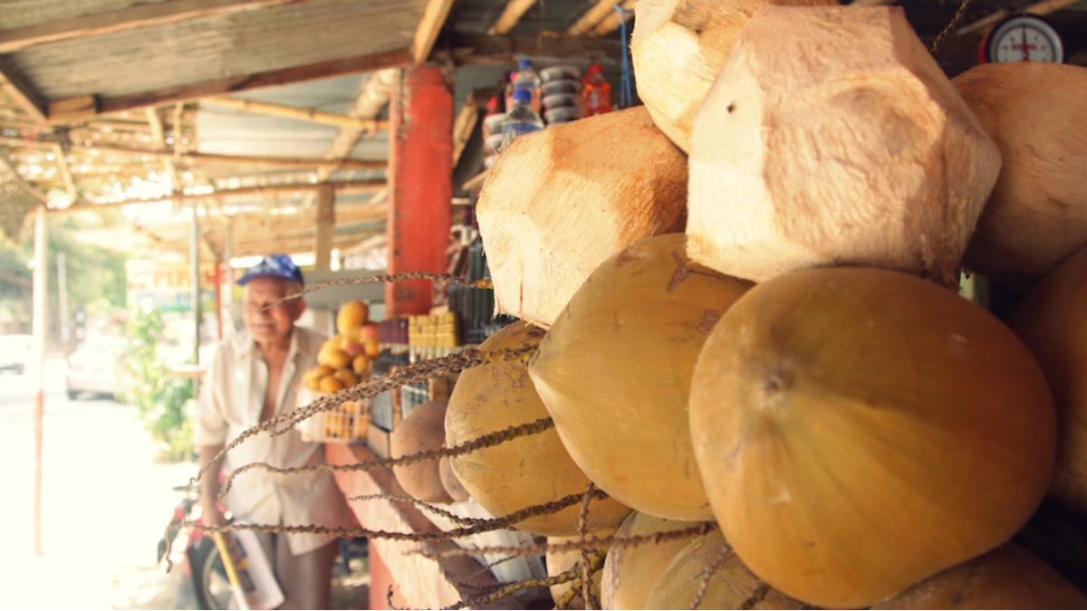 Pipa de coco: ¿Por qué aumentó seis veces su precio?