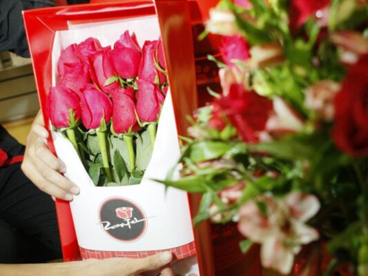 Rosatel: ¿Cómo nació la exitosa marca de flores y regalos?