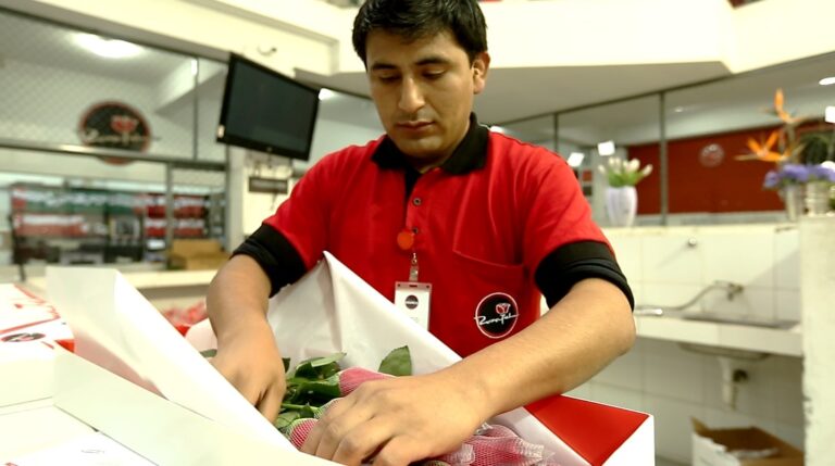 Rosatel: ¿Cómo nació la exitosa marca de flores y regalos?