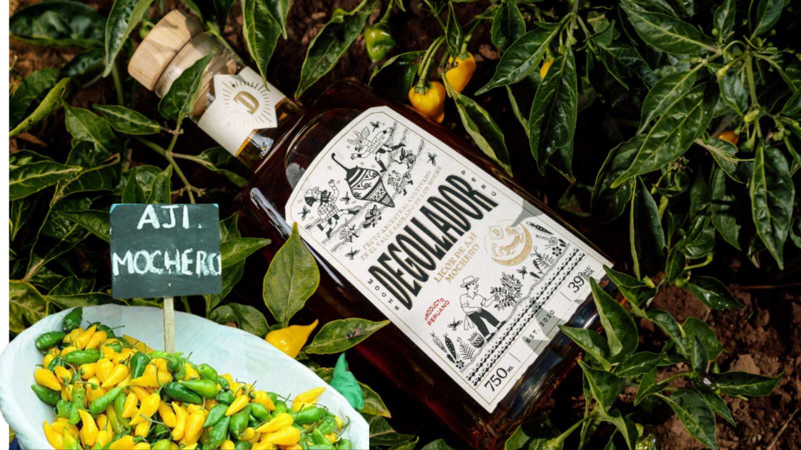 Conoce el licor peruano que está hecho en base de ají de Moche ...