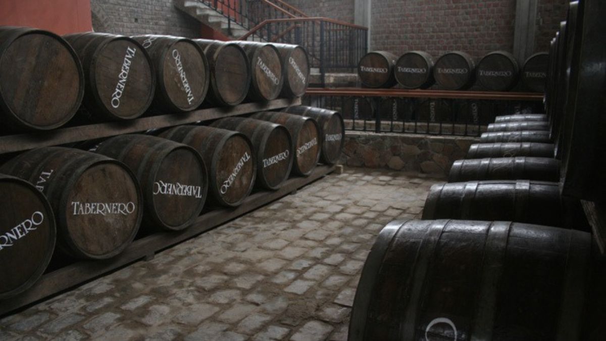 Grupo Tabernero proyecta crecer a doble dígito en ventas de pisco