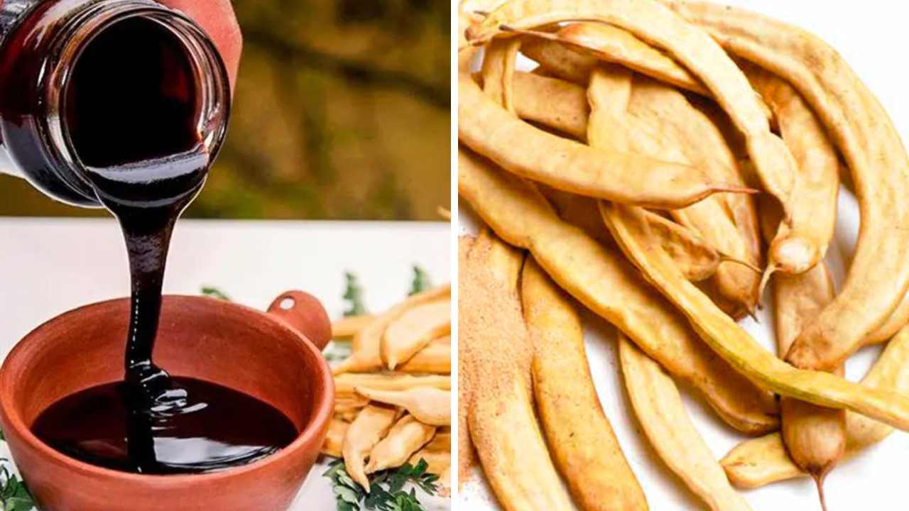 Día de la algarrobina: Piura es productor líder de algarrobina