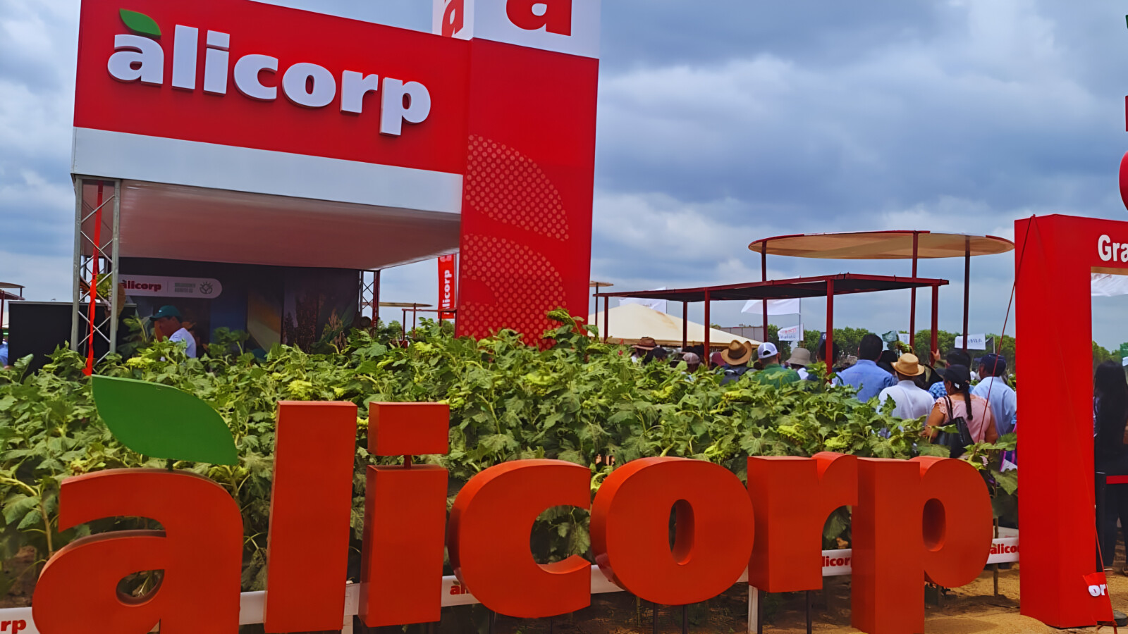 Utilidades y EBITDA de Alicorp crecen durante el segundo trimestre de 2024 - Infomercado - Noticias