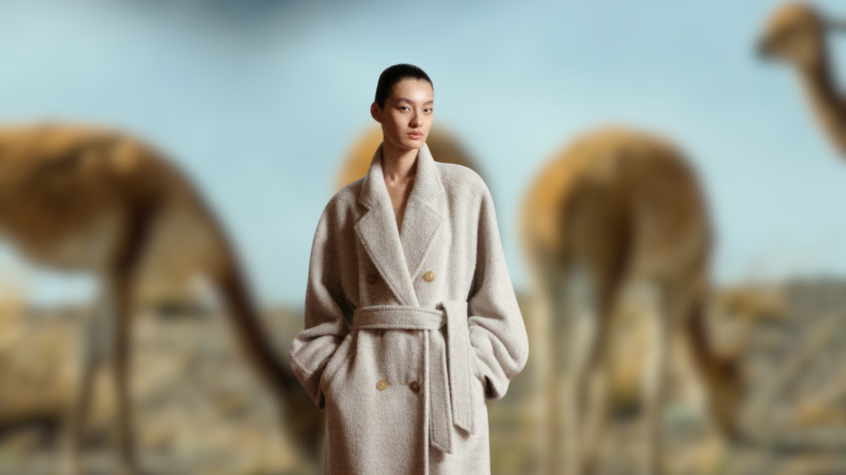 Grupo Inca: De vender pelo de alpaca en un lavadero, a liderar una ...