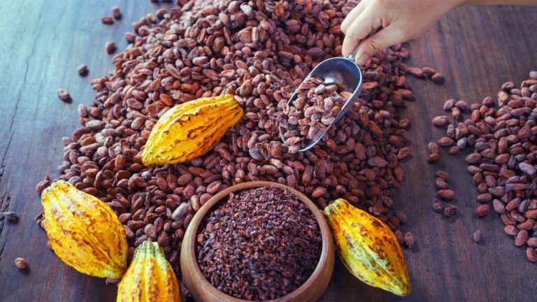 Exportación de chocolates peruanos superó los US$ 66 millones en 2024 ...