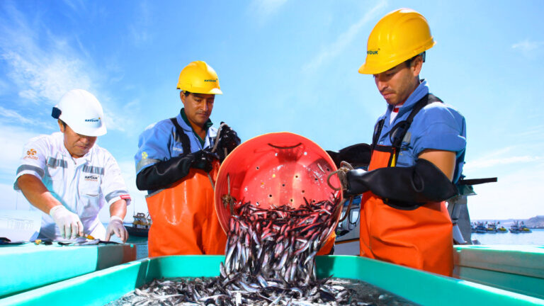 Sector pesquero peruano continúa su tendencia positiva este 2025