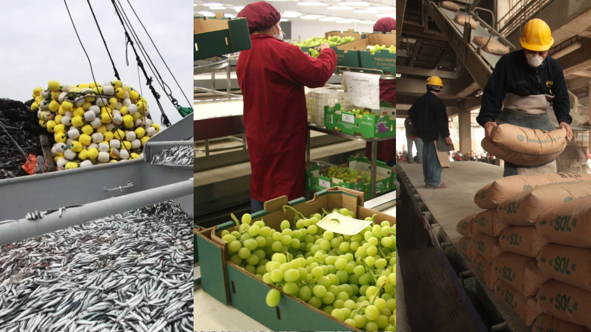 INEI: Producción nacional creció 3.41% en julio impulsada por ...
