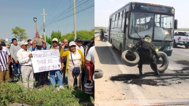 Paro agrario 2026 arroz